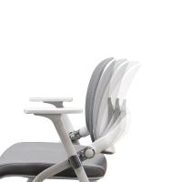 China Adjustable Fixed Handrail Double Back Folding Conference Chair for Corporate Events for sale