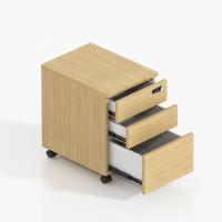 China Sports Venues Business Premises Usage Scenarios Staff File Cabinet with Lock and Drawer for sale