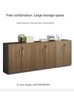 China Private Partition Storage Cabinet for Modern Office Efficiency and Organization for sale
