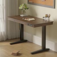China Unique Office Desk for Standing and Free Laptop Less Than 50db Noise Stainless Steel for sale