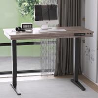 China Unique Office Desk for Standing and Free Laptop Less Than 50db Noise Stainless Steel for sale