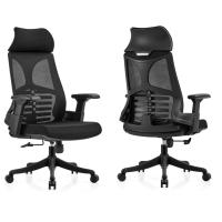 China Adjustable Height Mid Back Staff Swivel Mesh Office Chair with Solid Wood Legs Armrest for sale
