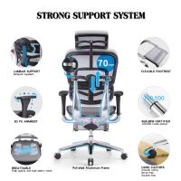 China Comfortable Racing Gaming Office Chair with Adjustable Function and Lumbar Support for sale