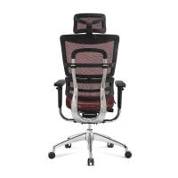 China Mail Packing Modern Office Chair with Solid Wood Legs Armrest and Lumbar Support for sale