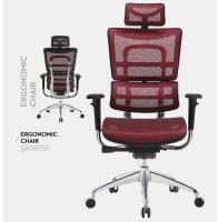 China Mail Packing Modern Office Chair with Solid Wood Legs Armrest and Lumbar Support for sale