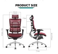 China Mail Packing Modern Office Chair with Solid Wood Legs Armrest and Lumbar Support for sale