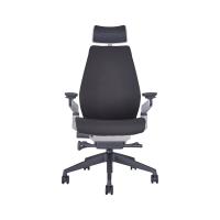 China Bionic Design Adjustable Revolving Swivel Lift Executive High Back Office Chair for sale