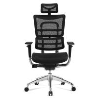 China Adjustable Aluminum Base High Back Swivel Ergonomic Chair for Executive Office Furniture for sale