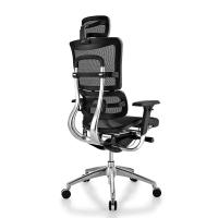 China Adjustable Aluminum Base High Back Swivel Ergonomic Chair for Executive Office Furniture for sale