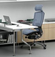 China Mesh Back Ergonomic Office Chair with Aluminum Frame and Comfortable Seat for sale