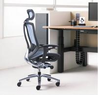 China Mesh Back Ergonomic Office Chair with Aluminum Frame and Comfortable Seat for sale