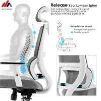 China Listing Lightweight Taipan Office Chair High Back Aluminum Frame and Ergonomic Design for sale