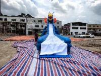 China Inflatable Water Slide High Long Slide Dragon Model with Thick Pvc Good Quality Plus Water Pool for Kids Outdoor Playground for sale