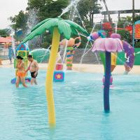 China Frog Mushroom Water Park Splash Pad Outdoor Water Play Equipment for sale