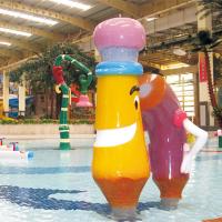 China Customized Water Park Splash Pad OEM Garden Water Play Equipment for sale
