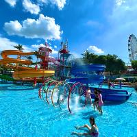 China Water Playground Amusement Entertainment Wave Pool Surf Machine for Water Park Equipment for sale