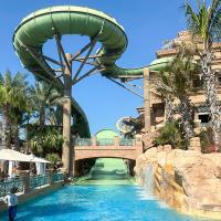 China Thrill Rides the Ultimate Surf Machine Single Flowrider for Indoor Outdoor Beach Waterpark for sale