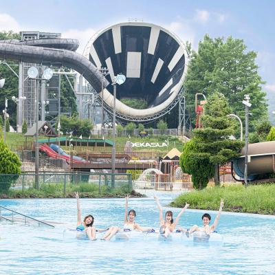 China Hot Sale Fiberglass Pool Water Slide Space Bowl Water Slide Traditional Water Slide for sale