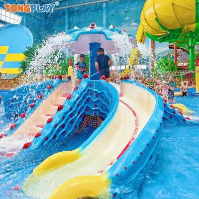 China Small Octopus Slide Fiberglass Water Play Equipment with Spray Feature and Customized Color for Kids for sale