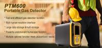 China PTM600 AQI Portable Gas Monitor Gas Detection Continuous Air Quality Detection for sale