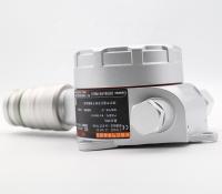 China Fixed Online CH4 Methane Gas Detector Large Capacity Data Storage For Chemical Industry for sale