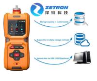 China Mobile Portable Multi Gas Detector Methane Gas Monitor IP67 With Free Calibration Service for sale