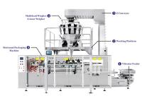 China Fully Auto Horizontal Bag Packing Machine 500g for sale