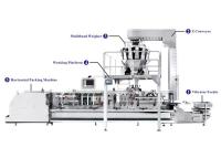 China 100-1000g Premade Bag Packaging Machine For Chip for sale