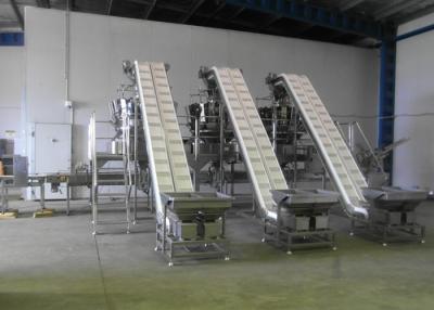 China Auto  Box Type Packaging Machine With 10 Head Multihead Weigher For Vegetable And Fruit for sale