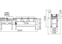 China Belt Conveyor Air Blowing 160g Automatic Checkweigher for sale