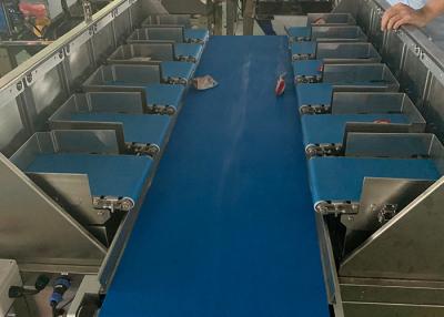 China 30bag/Min 12 Head Manual Combination Weigher With Belt for sale