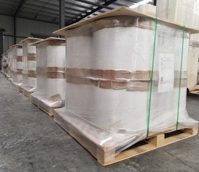 China ISO Transparent PET 23um Removable Adhesive Labels for sale
