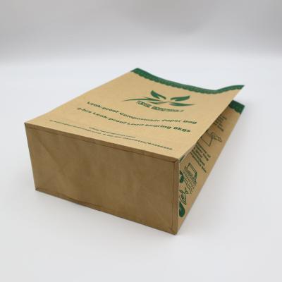 China Shopping and Packaging Eco-friendly Kraft Paper Bag with PE Plastic Type for sale