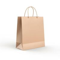 China Shopping Packaging Kraft Paper Bag designed from Art coated paper ideal for merchandise packaging eco friendly and option for sale