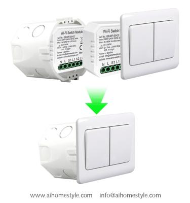 China 2 Gang Smart Wi-Fi Switch Module for Home Automation 10A 250V for sale