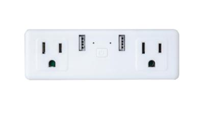 China US Smart Double Plug with 2 USB Ports Individual Socket Control 15A for sale