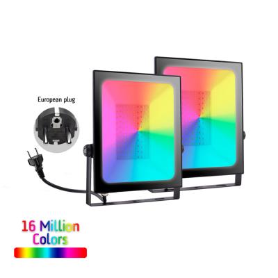 China Outdoor Bluetooth RGB Flood Light 50W 6500K Waterproof IP65 Landscape Lighting for sale