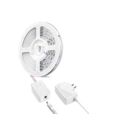 China 2m Smart LED Strip RGB+WW 24V High Brightness Flexible Light for sale
