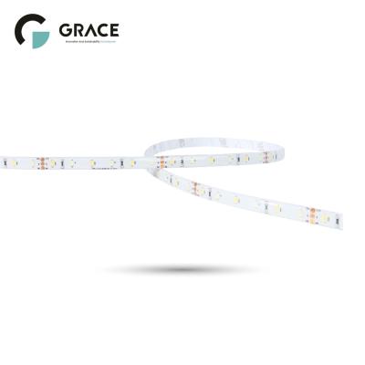 China Smart LED Strip CCT Wi-Fi Bluetooth 5m 24V Tunable White for sale