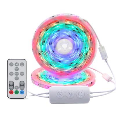 China Wi-Fi Dreamcolor LED Strip Lights for sale