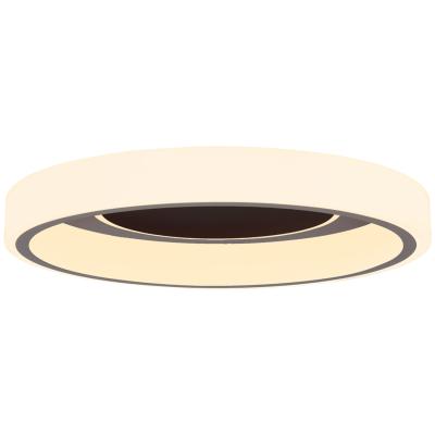 China Smart Wi-Fi Claria LED Ceiling Lamp 40W 3000K Dimmable for sale