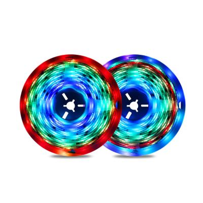 China 12V 5m Wi-Fi/BLE Multi Color Light Strip with Control Panel for sale