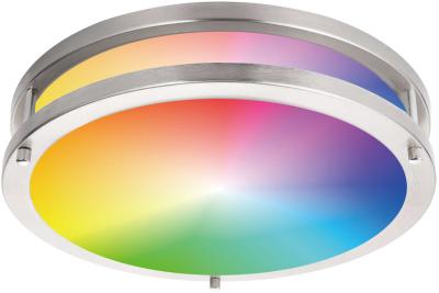 China RGBCW LED Flush Mount Ceiling Light Single Ring 14W Dimmable Smart for sale