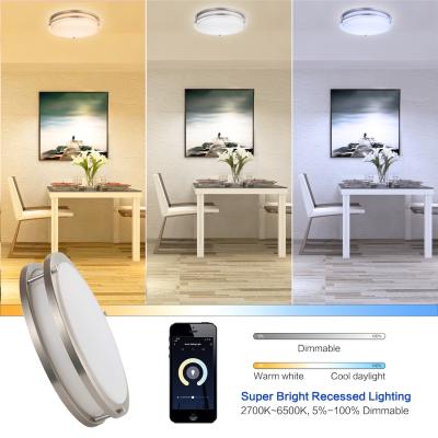 China RGBCW LED Flush Mount Ceiling Light 16 Inch Double Ring Brushed Nickel 24W for sale