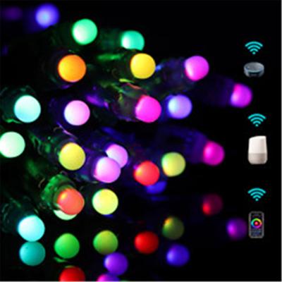 China Smart RGBIC String Lights 50ft Outdoor Christmas Tree Fairy Pixel Light 24V for sale
