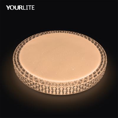 China Smart Ceiling Light CCT Dimmable 24W LED Panel 3000K-6500K for sale