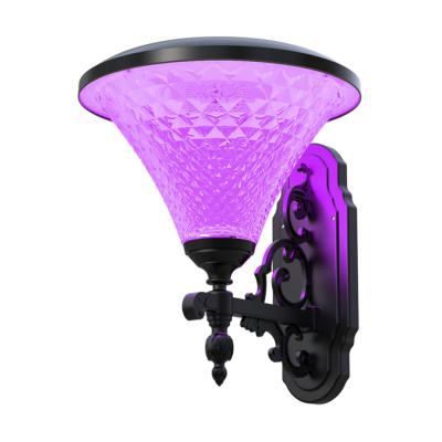 China Smart Solar Pathway Light 60W LED 6000K Waterproof IP65 for Garden Walkway for sale