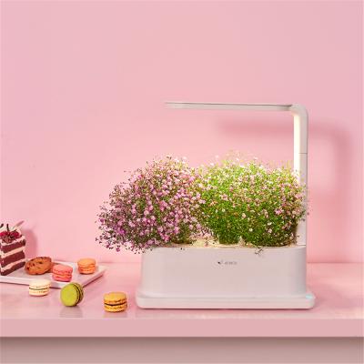 China Desktop Grow Box Indoor Plant System with 60W LED Full Spectrum Light for sale