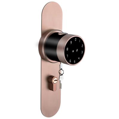 China Fingerprint Smart Lock New Style for Home for sale