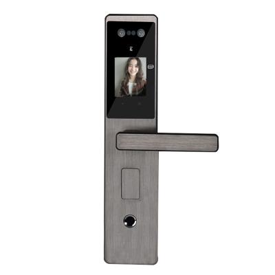 China Aluminium Smart Face Recognition Door Lock Fingerprint Password RFID 5000mAh for sale